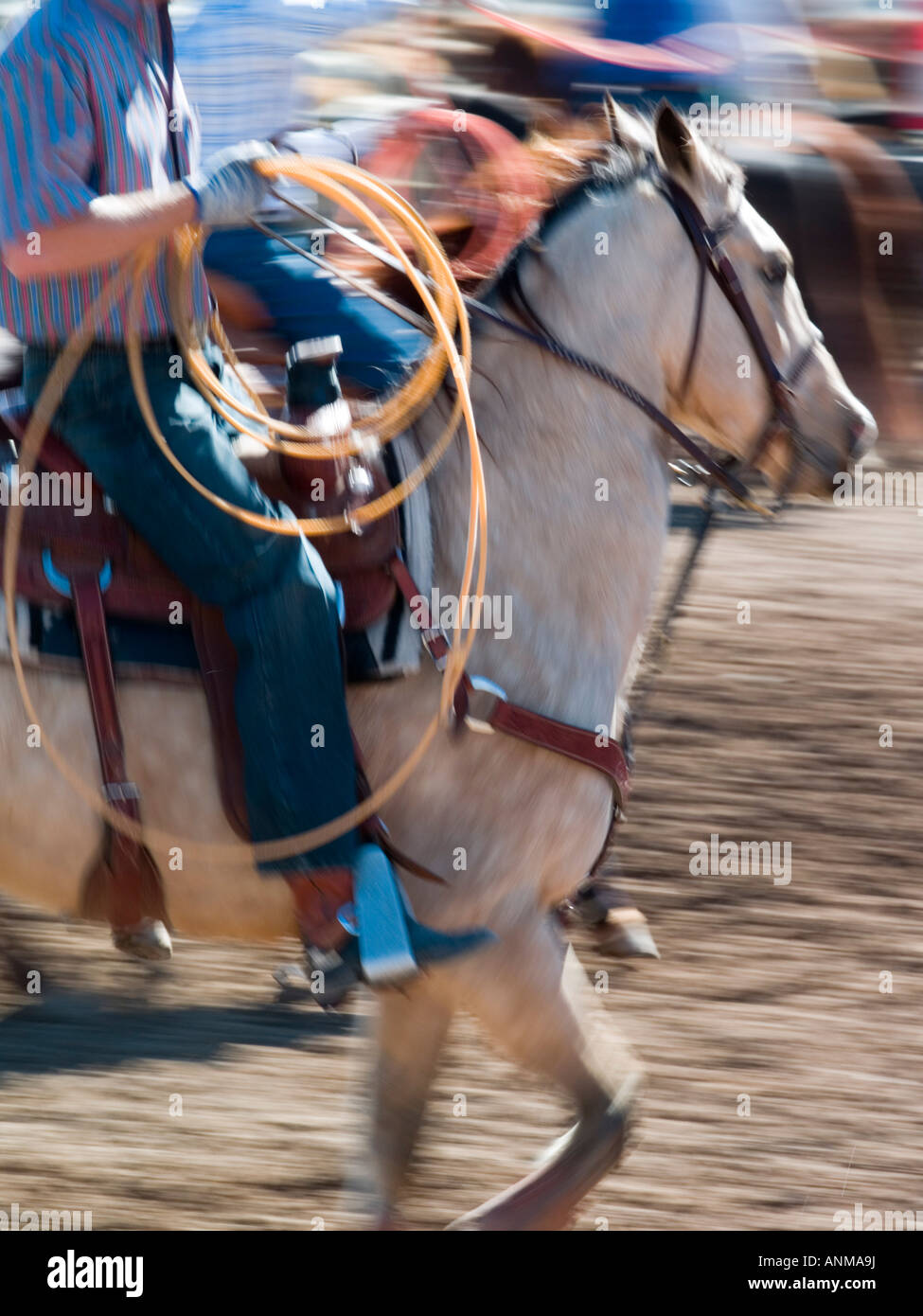 Rodeo competitors prepare for the Tucson Rodeo competition Stock Photo ...