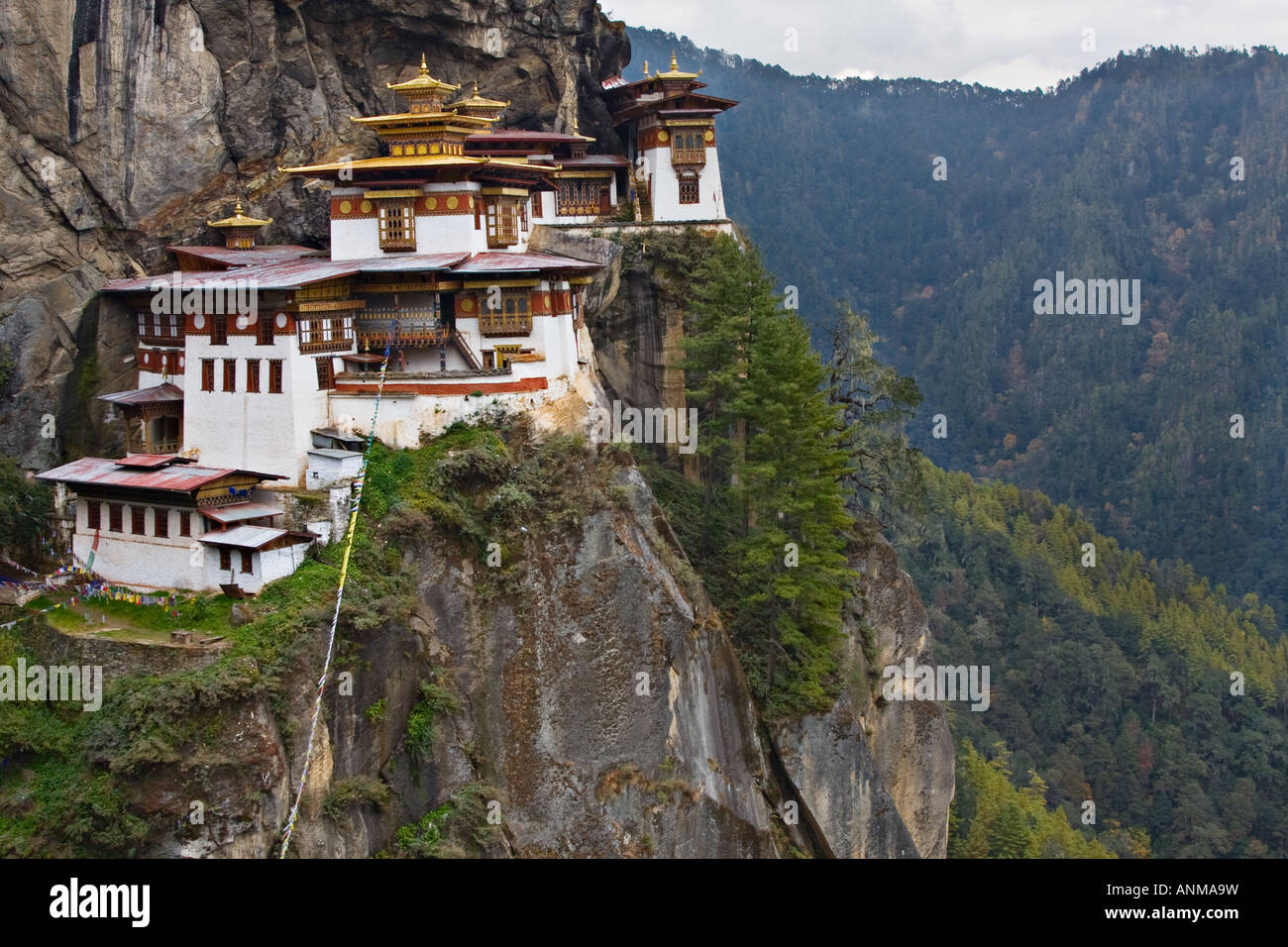 Taktshang (Tiger's Nest) Monastery, Bhutan, Asia Stock Photo - Alamy