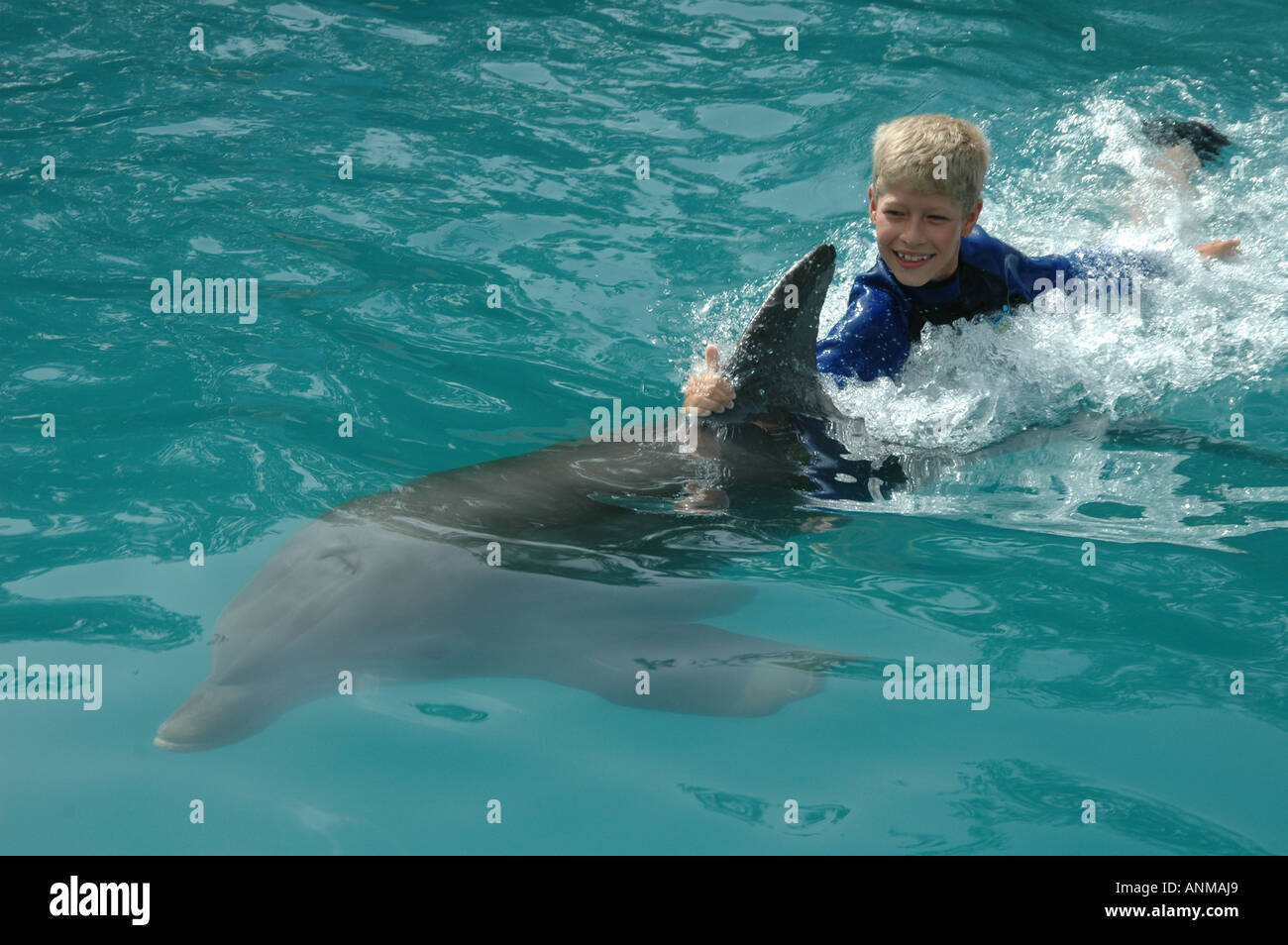 Boy and Dolphin Stock Photo - Alamy