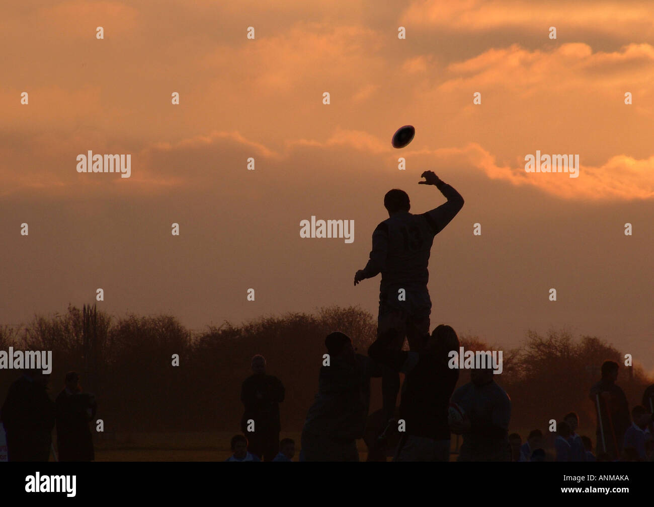 Welsh rugby team hi-res stock photography and images - Alamy