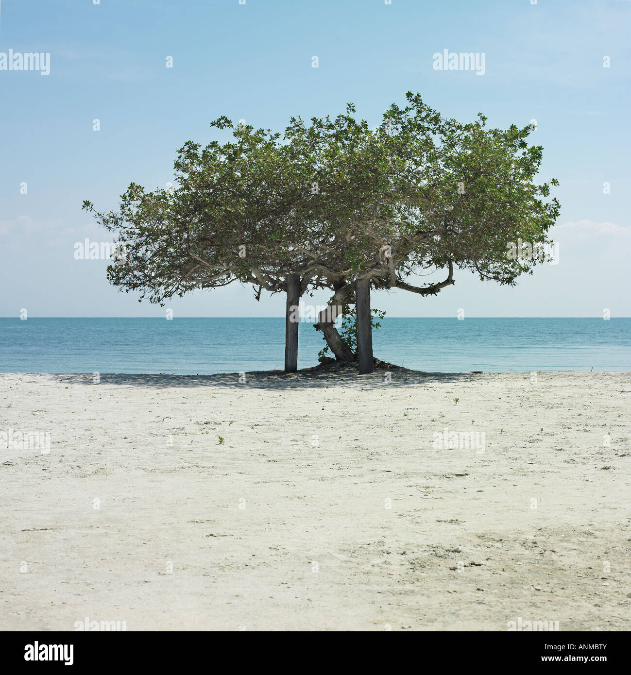 Colombia beach vacation hi-res stock photography and images - Alamy