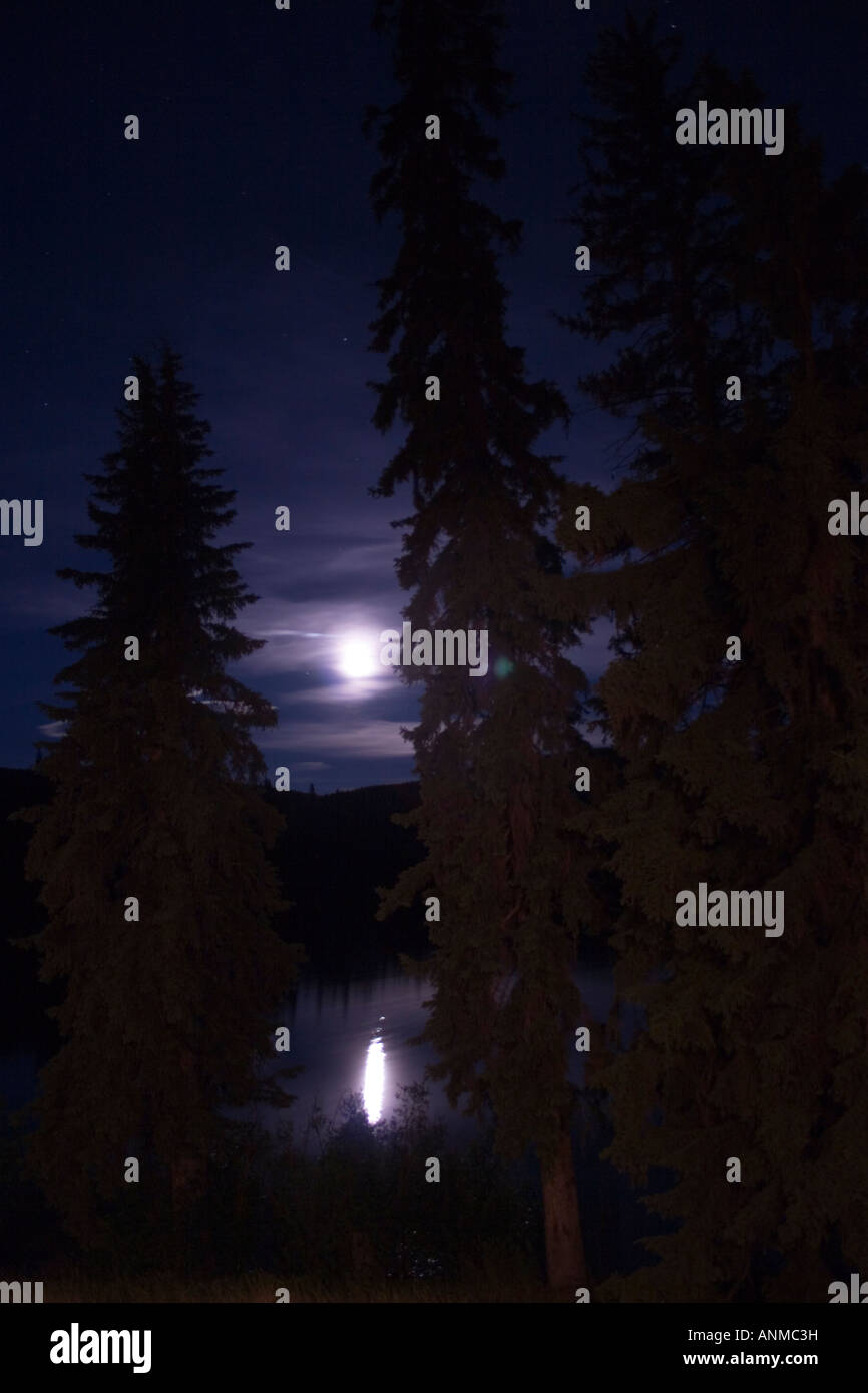 Moonlight moonlit hi-res stock photography and images - Alamy