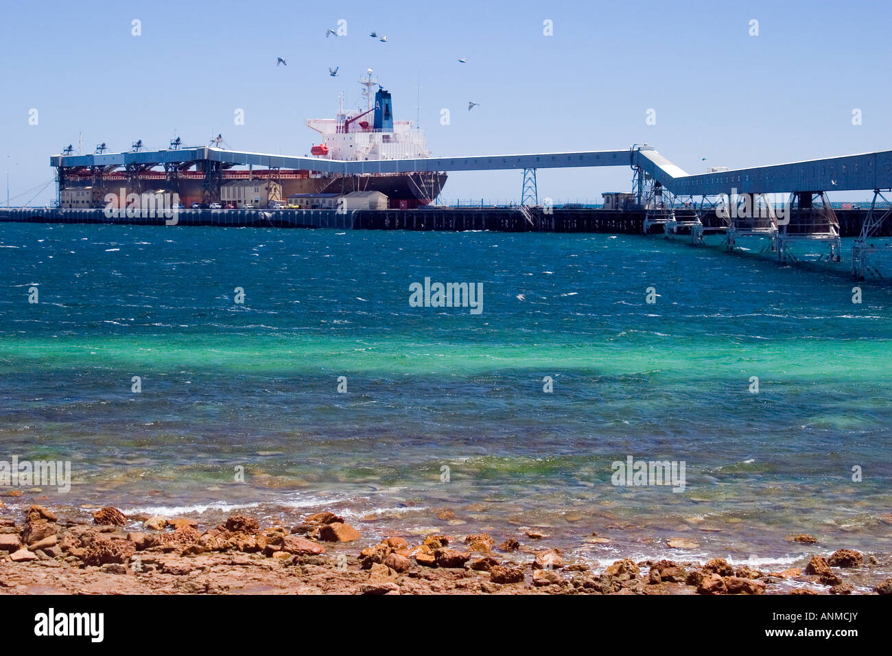 View of grain bulk carrier ship loading at Wallaroo South Australia ...