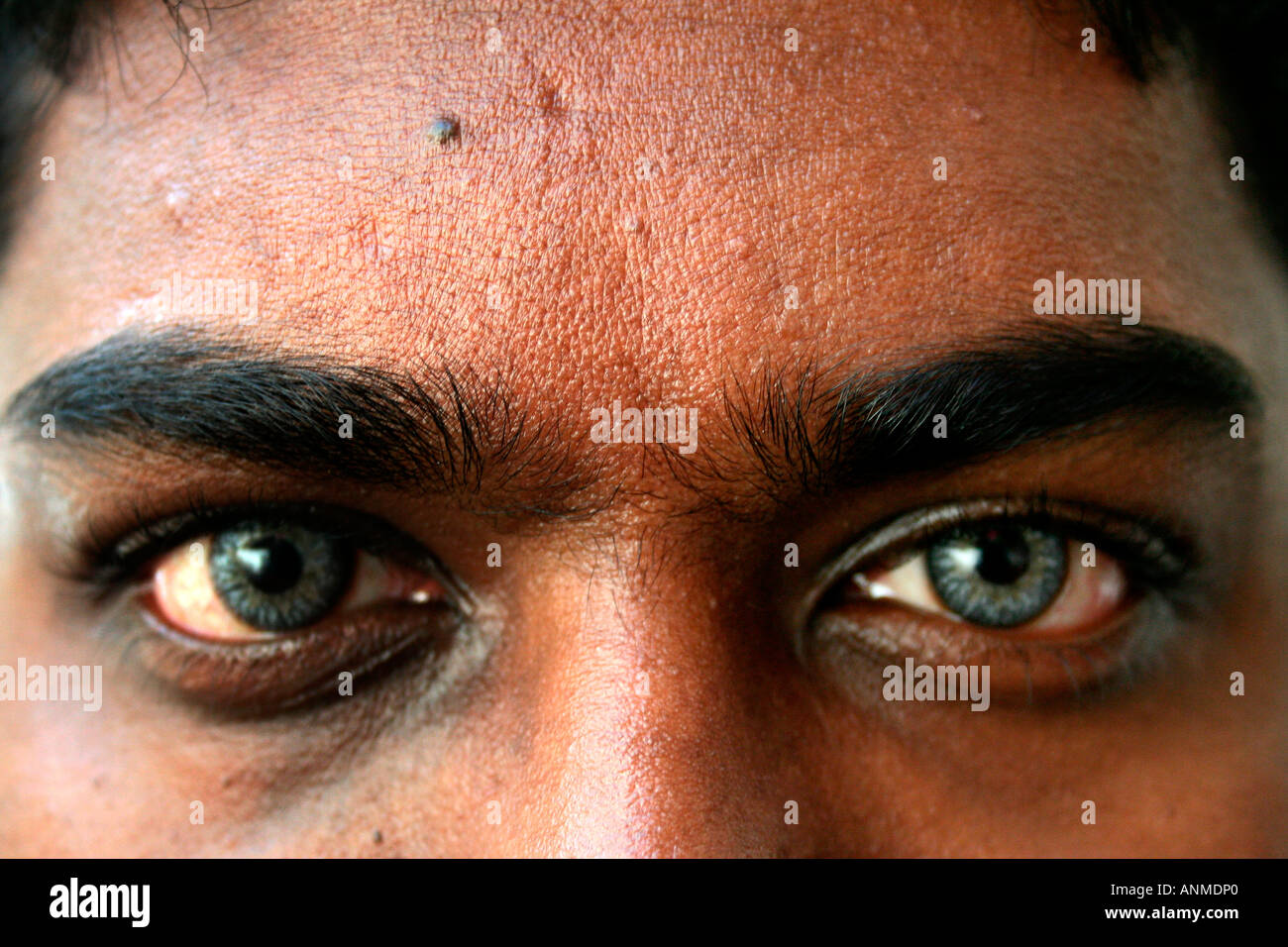 Close up of a pair of grey colored eyes of a male Stock Photo - Alamy