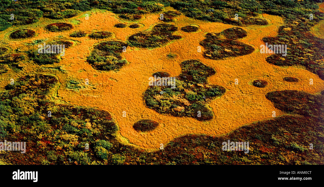 Aerial photo of colourful grass in Iceland Stock Photo - Alamy