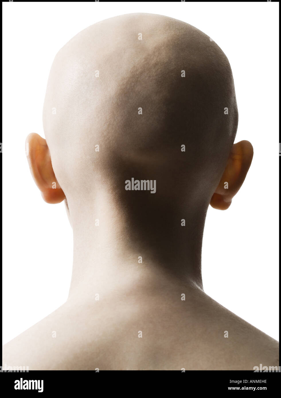 Rear view of a bald young woman Stock Photo - Alamy