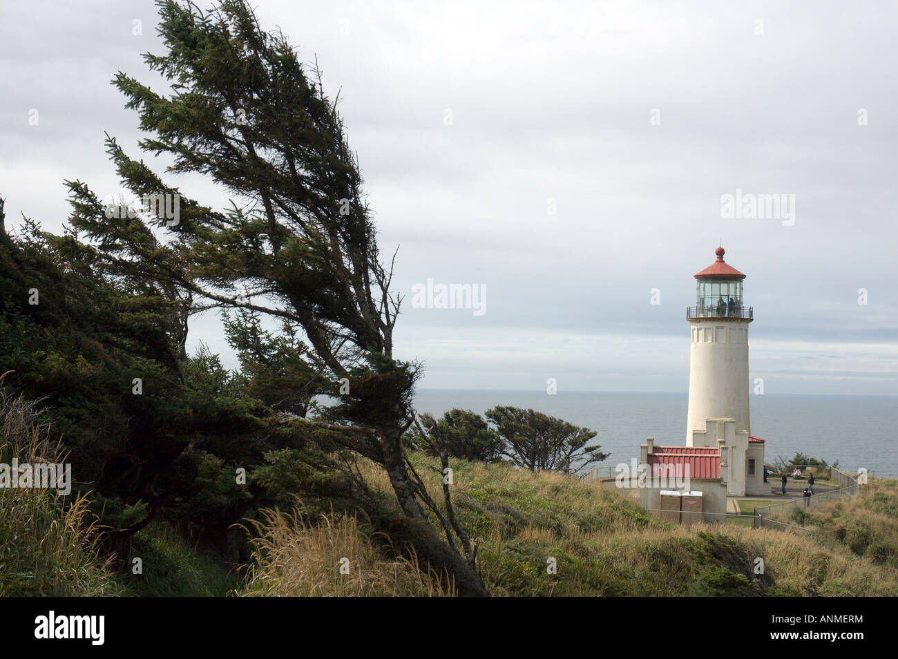 Cape Disappointment Fog High Resolution Stock Photography and Images ...
