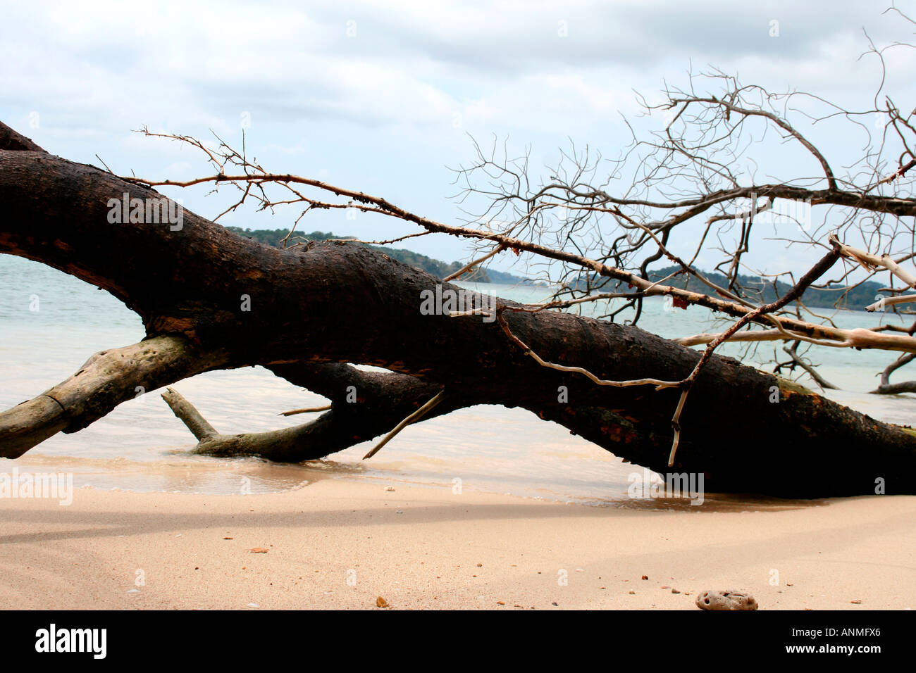 Tsunami buoy hi-res stock photography and images - Alamy