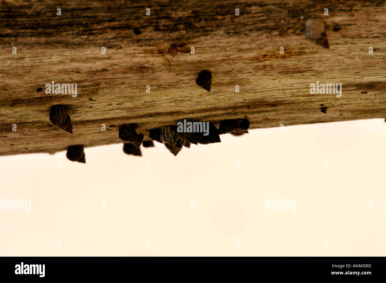 Inverted conical point hi-res stock photography and images - Alamy