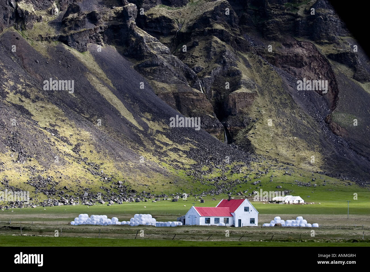 Typical farmer from Iceland Stock Photo - Alamy
