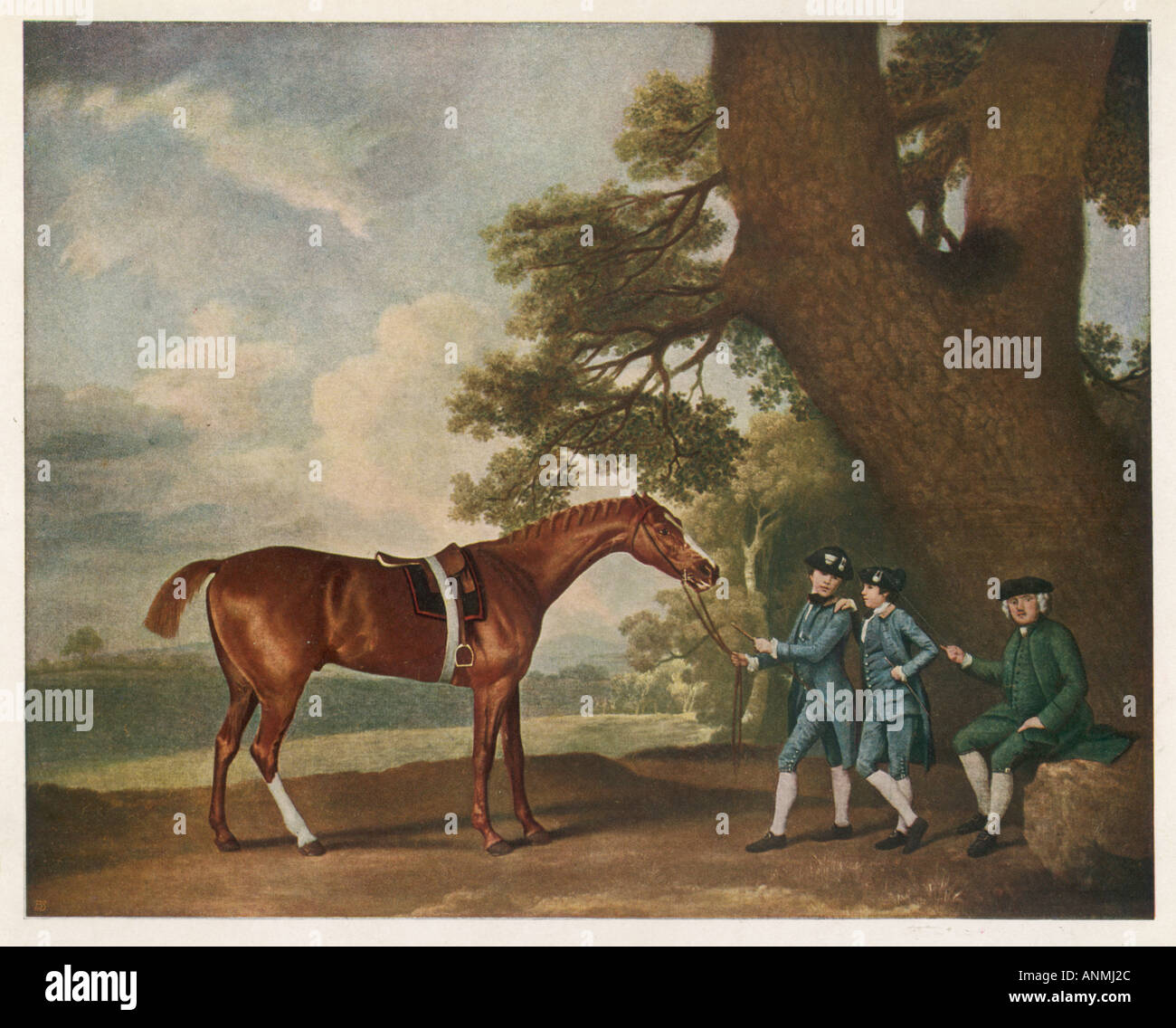 Darley arabian horse hi-res stock photography and images - Alamy