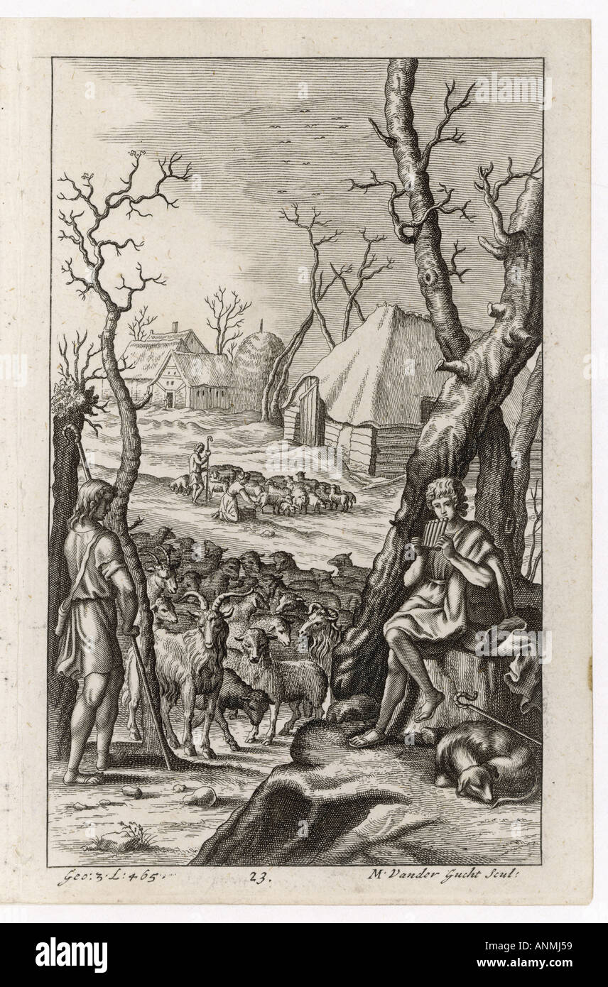 Sheep farming farming hi-res stock photography and images - Alamy