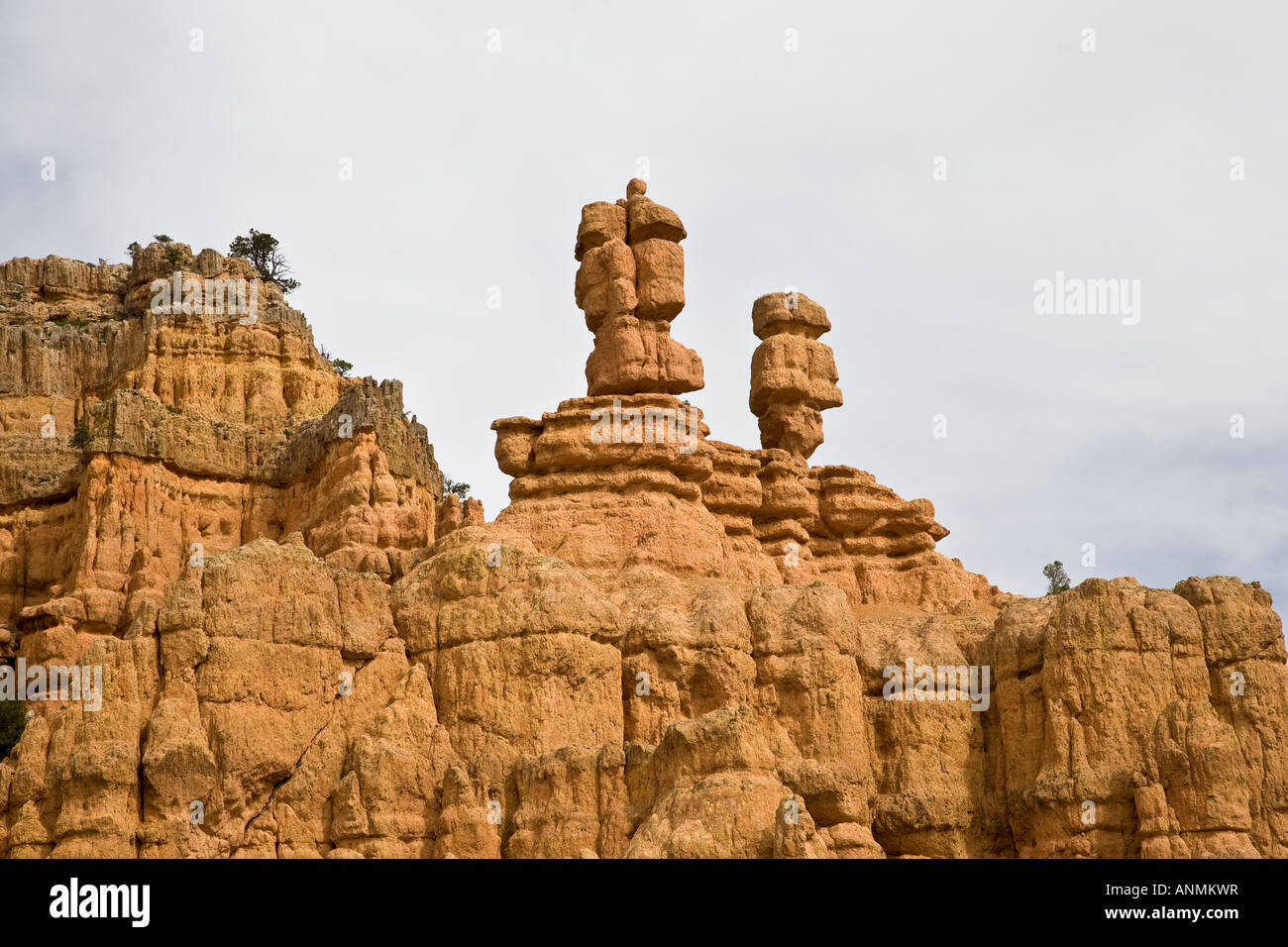 Bryce Canyon National Park, Pepper and Salt Stock Photo - Alamy