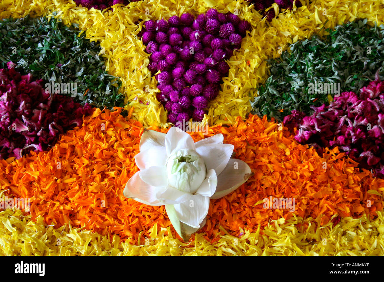 Pookalam hi-res stock photography and images - Alamy