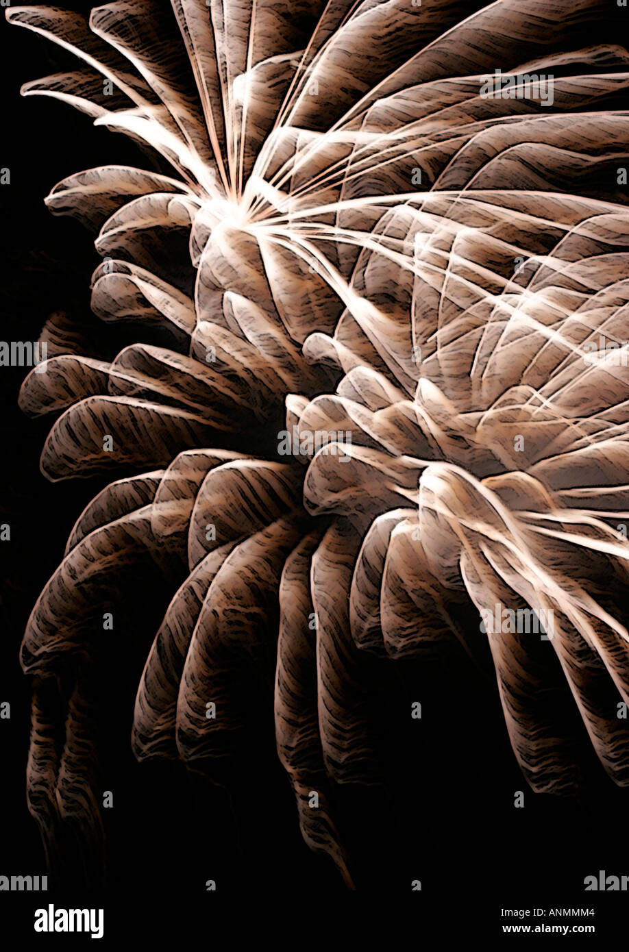 Firework display in the wind Stock Photo - Alamy