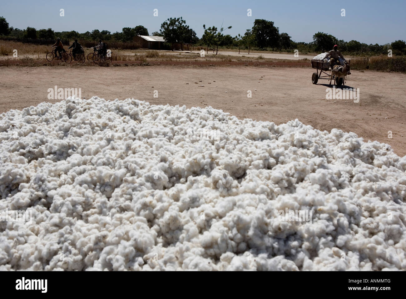Fairtrade cotton mali hi-res stock photography and images - Alamy