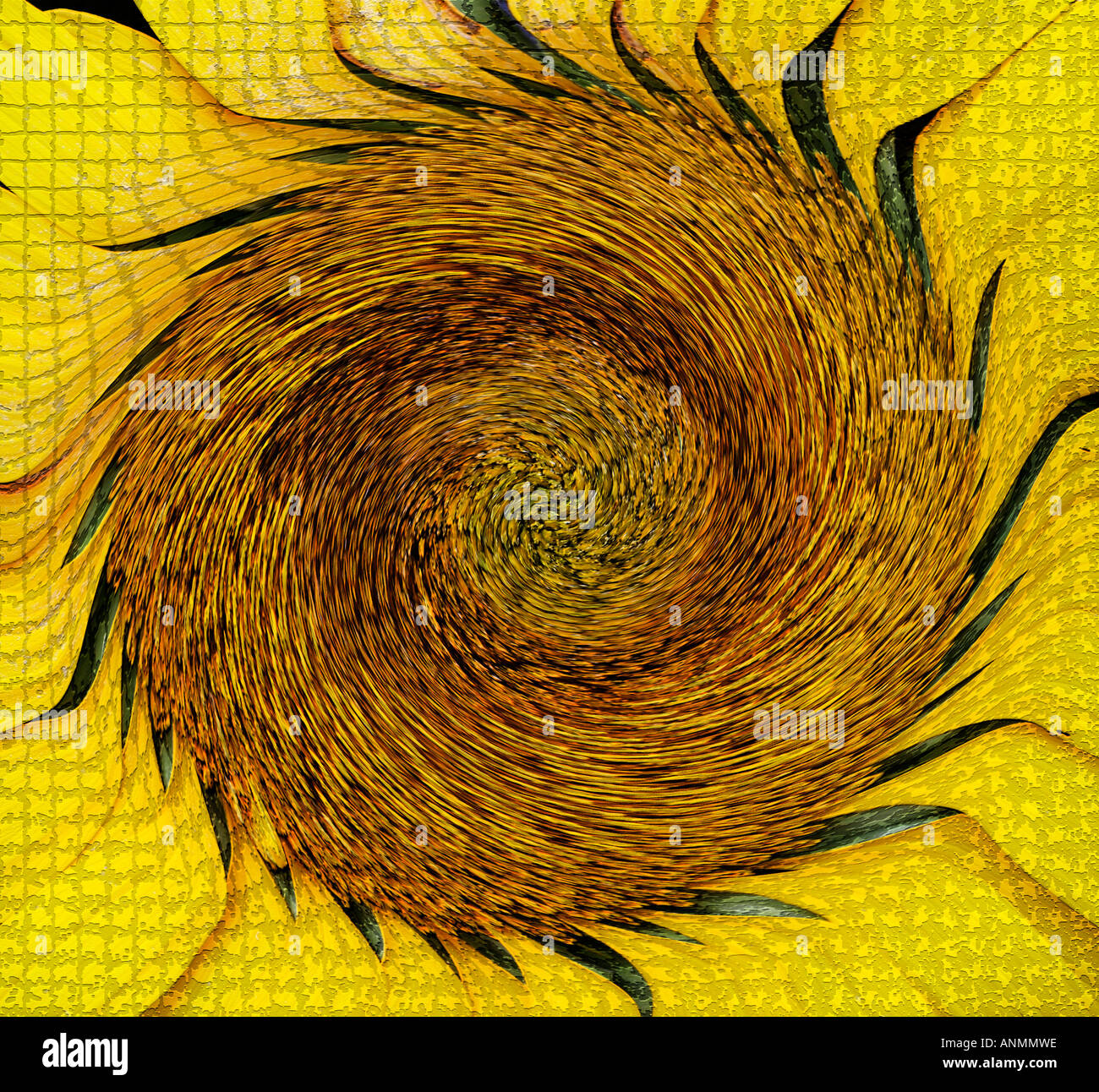 A close-up of a rotational manipulation of a yellow sunflower head ...