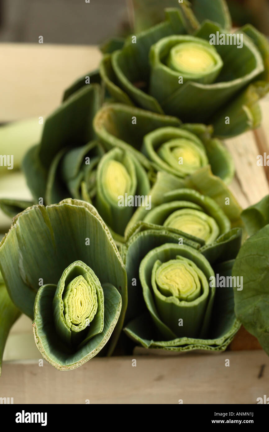 Fresh organic leek vegetable for sale at food market Stock Photo - Alamy