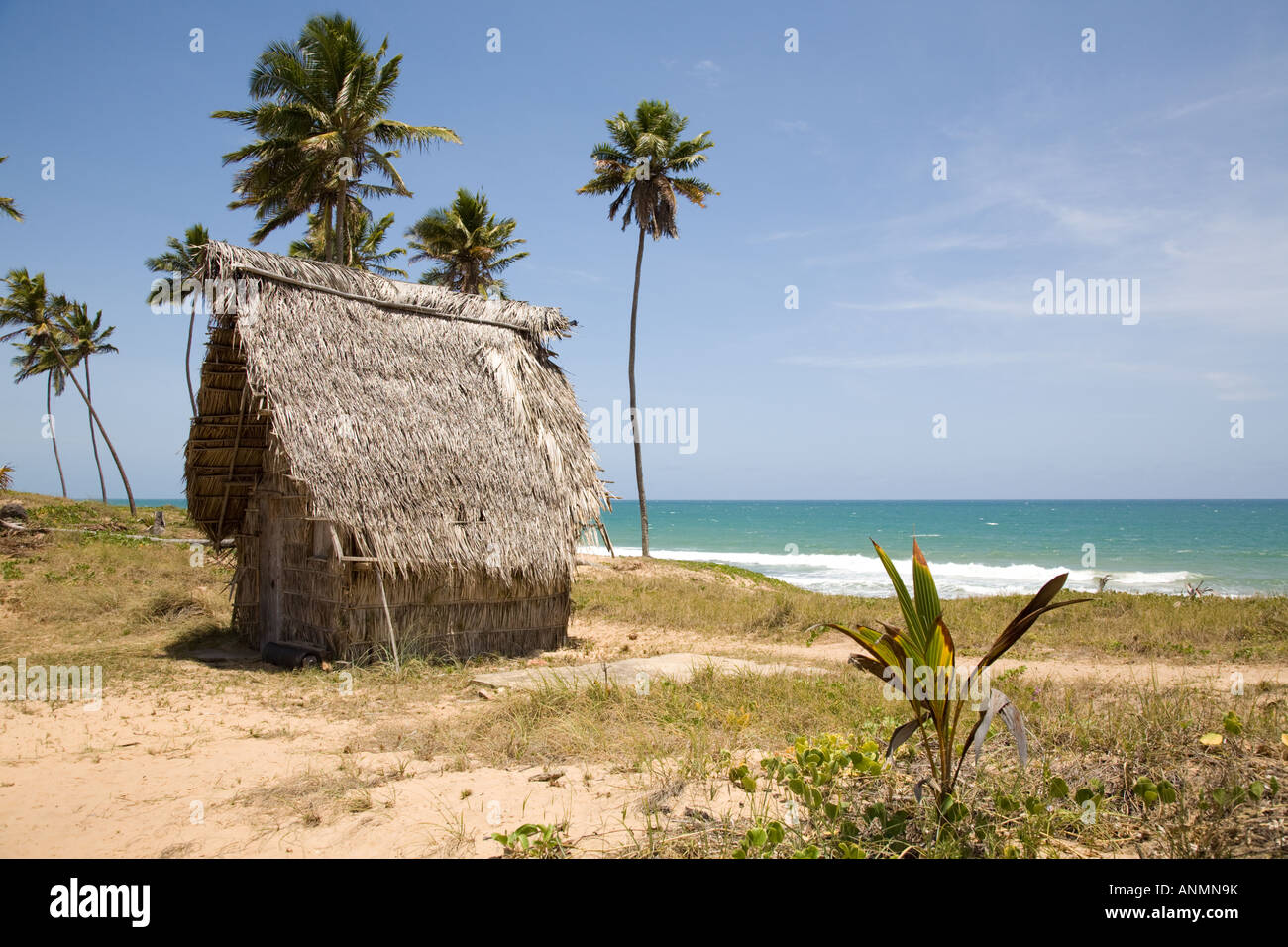 Aldeia Hippie Village, Arembepe, Salvador de Bahia, Brazil Stock Photo ...