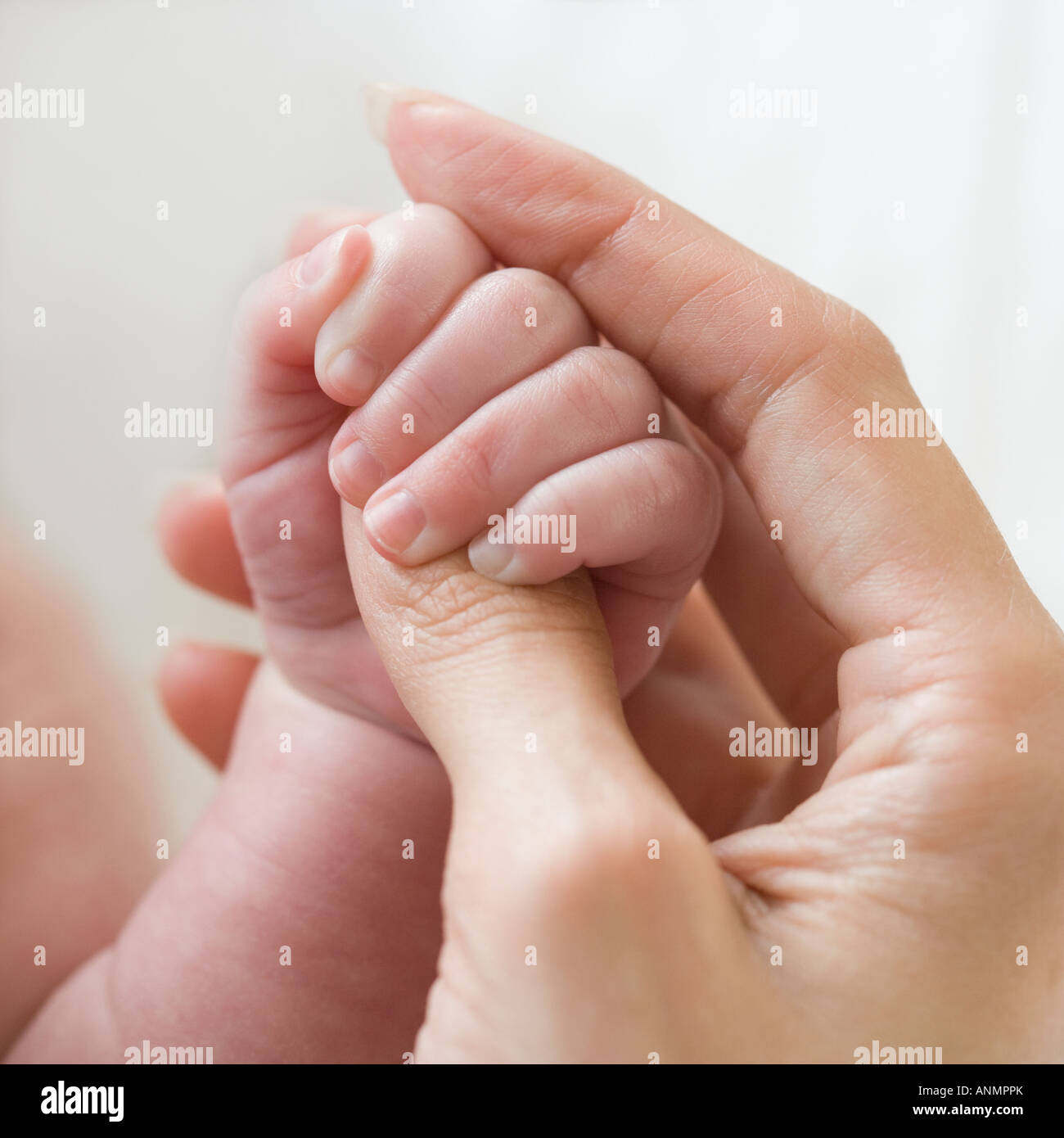 Close up of mother holding baby’s hand Stock Photo - Alamy