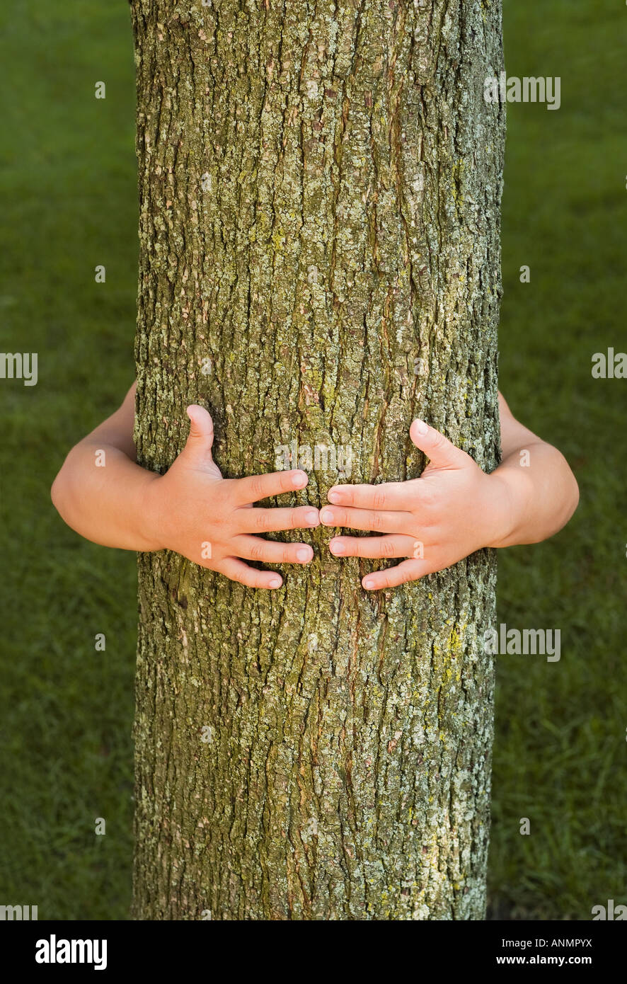 Person hugging tree Stock Photo - Alamy