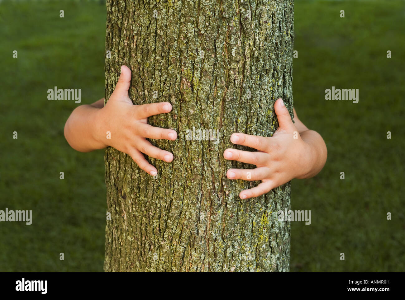 Person hugging tree Stock Photo - Alamy