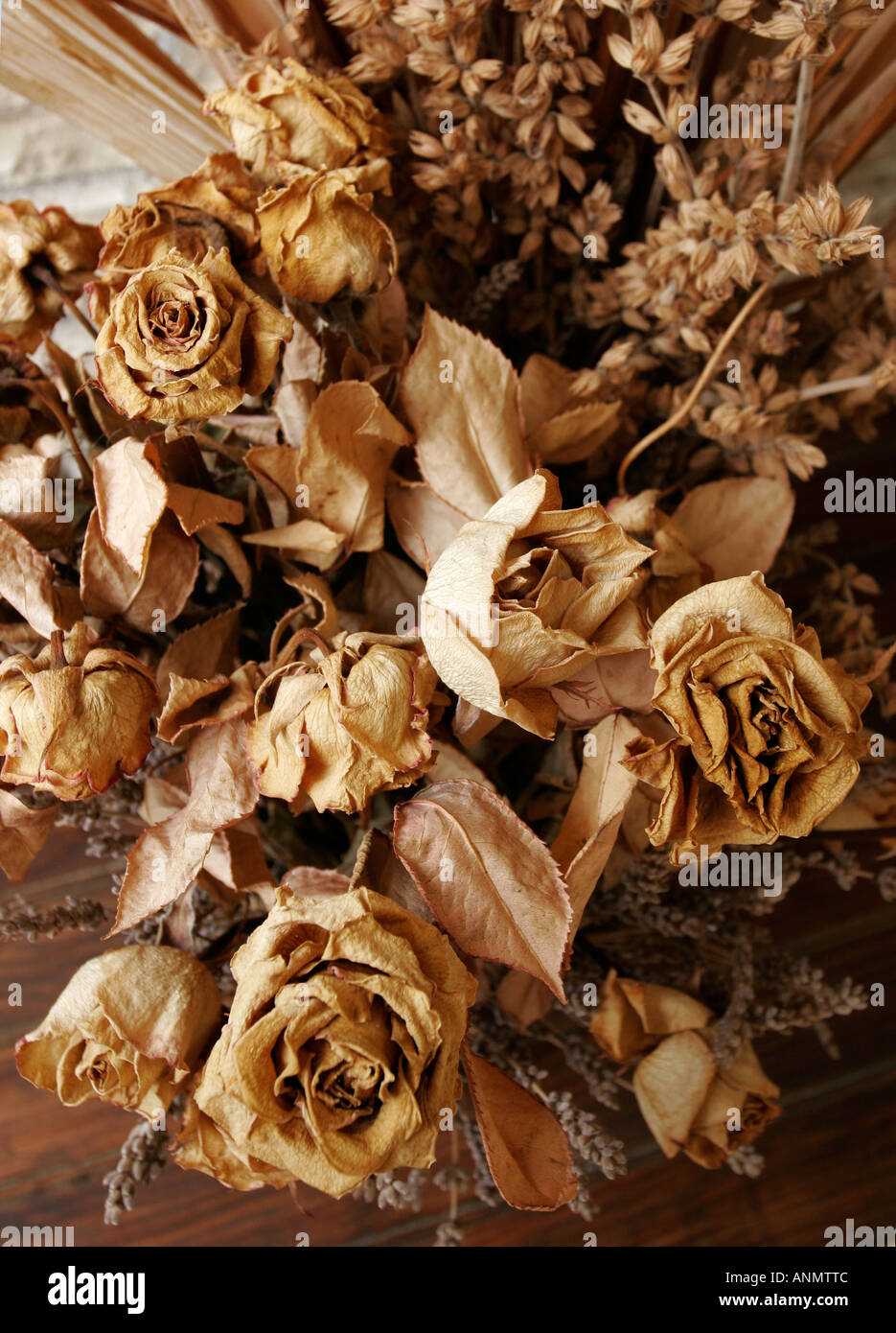 Bunch of dead roses hi-res stock photography and images - Alamy