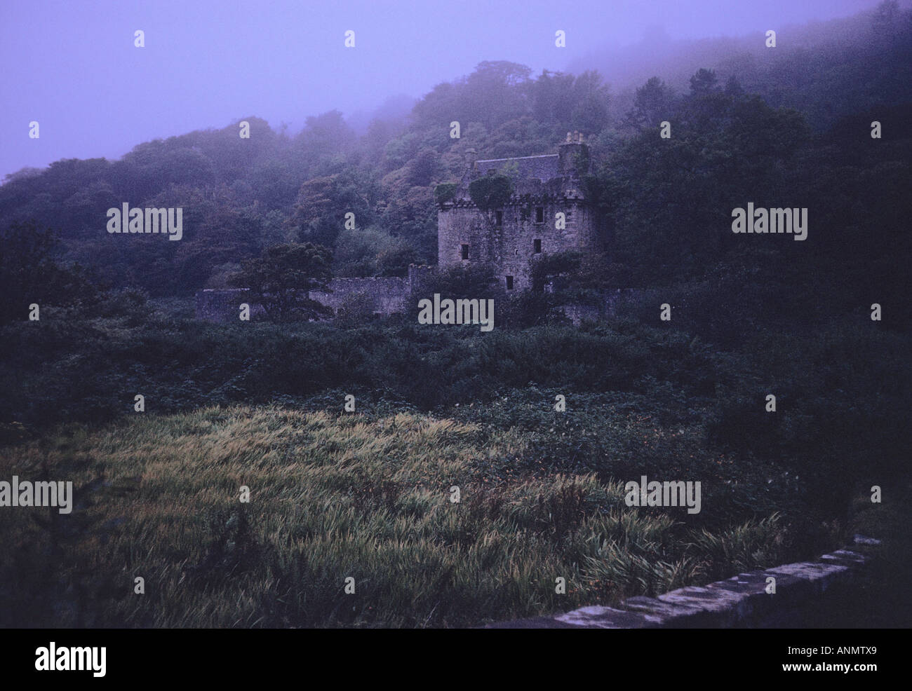 Saddell hi-res stock photography and images - Alamy