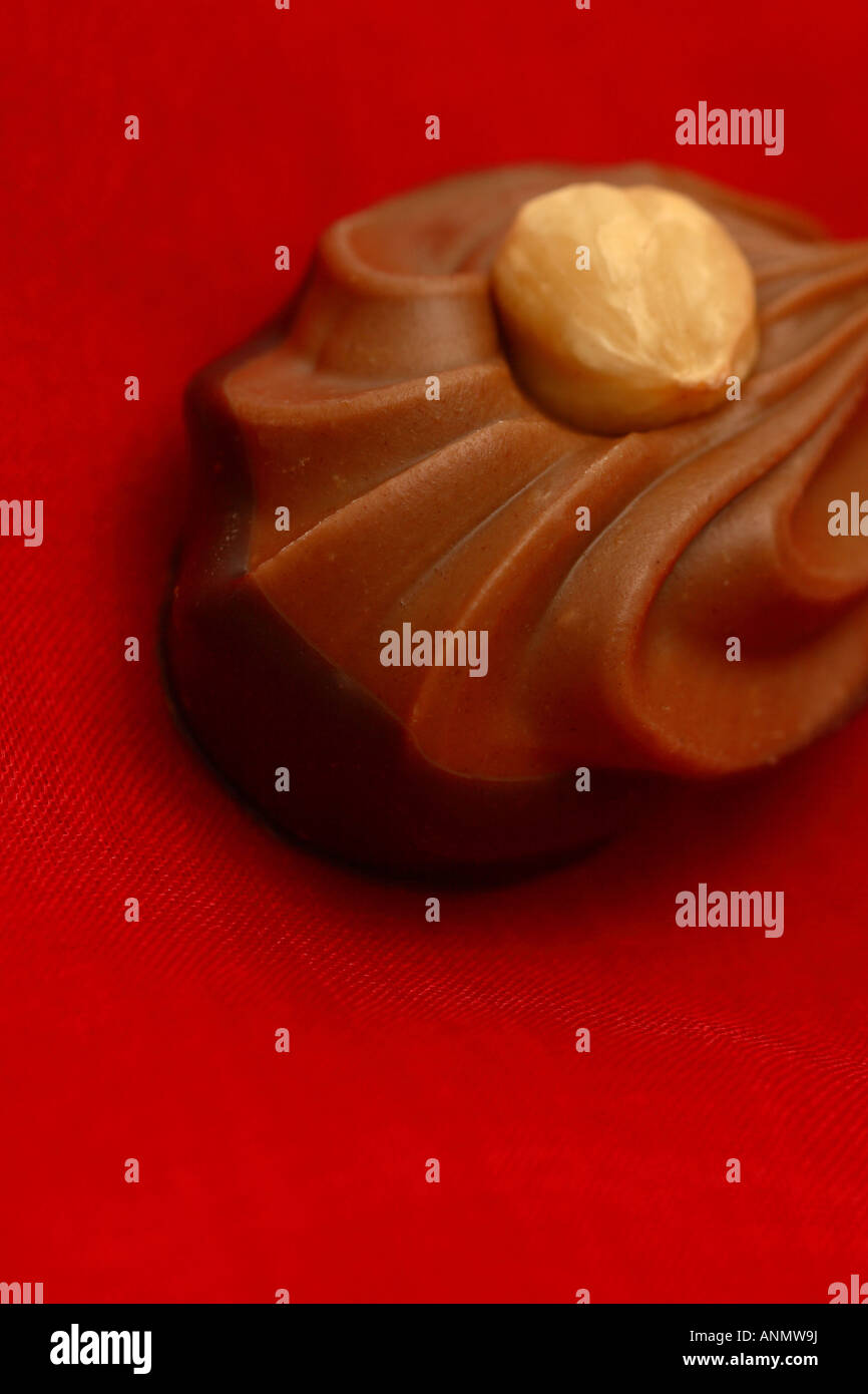 Luxury handmade milk chocolate with hazelnut topping on red background ...