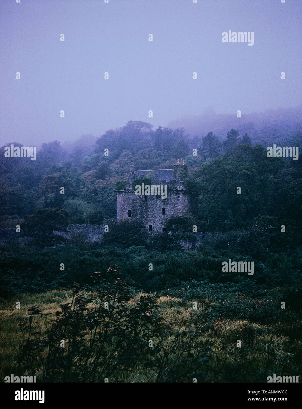 Saddell hi-res stock photography and images - Alamy