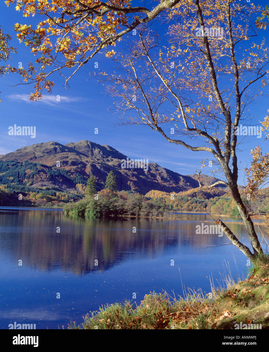 Ben venue and Loch Achray, the Trossachs, Stirling, Scotland, UK Stock ...