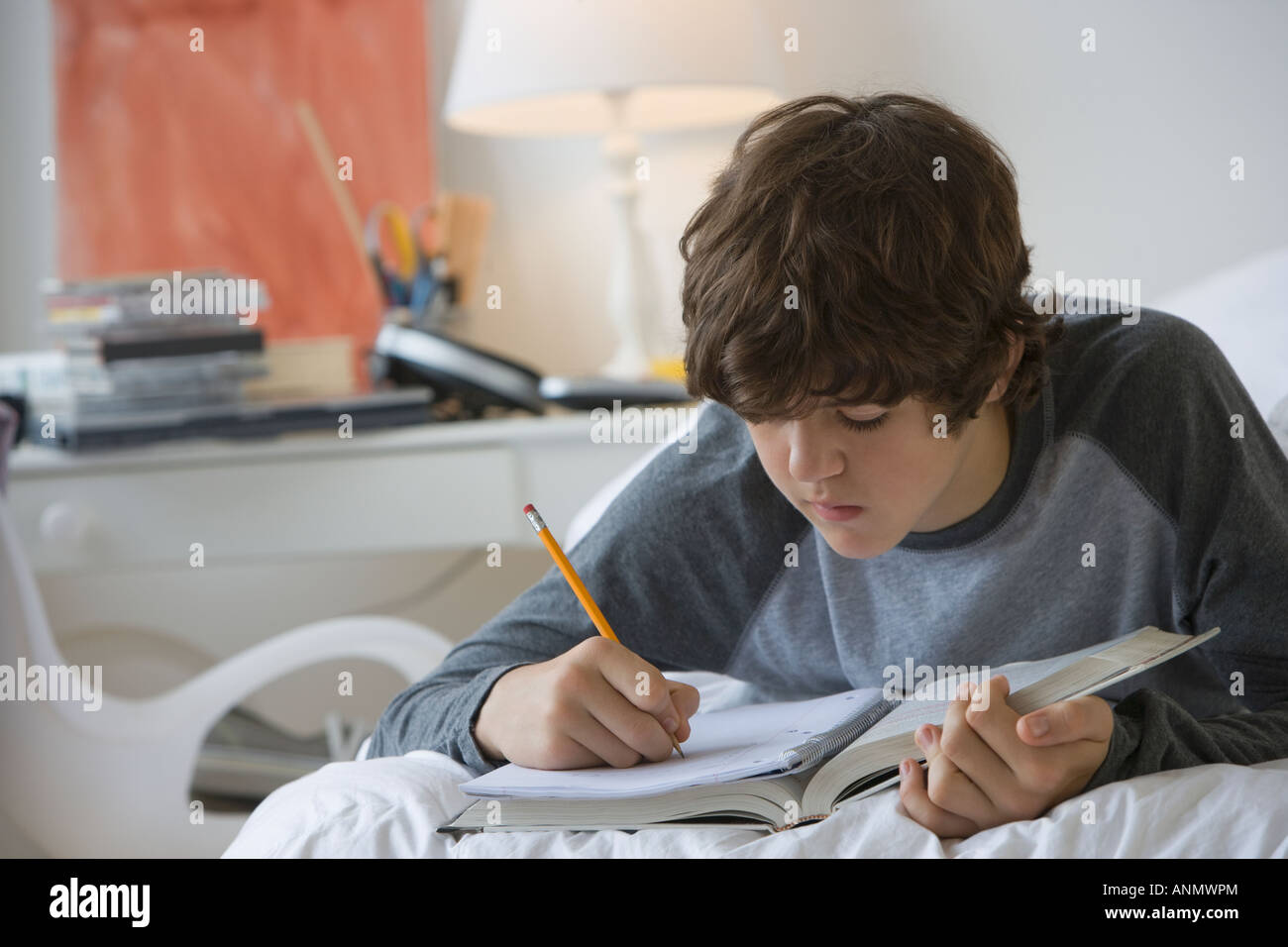 Teenaged boy doing homework Stock Photo - Alamy