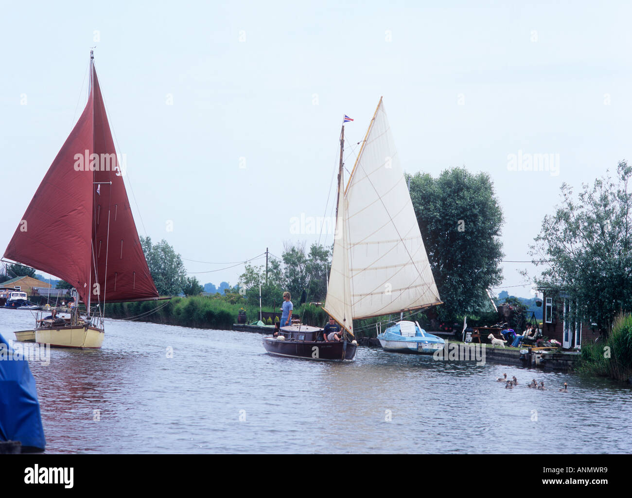 White sailed boat hi-res stock photography and images - Alamy