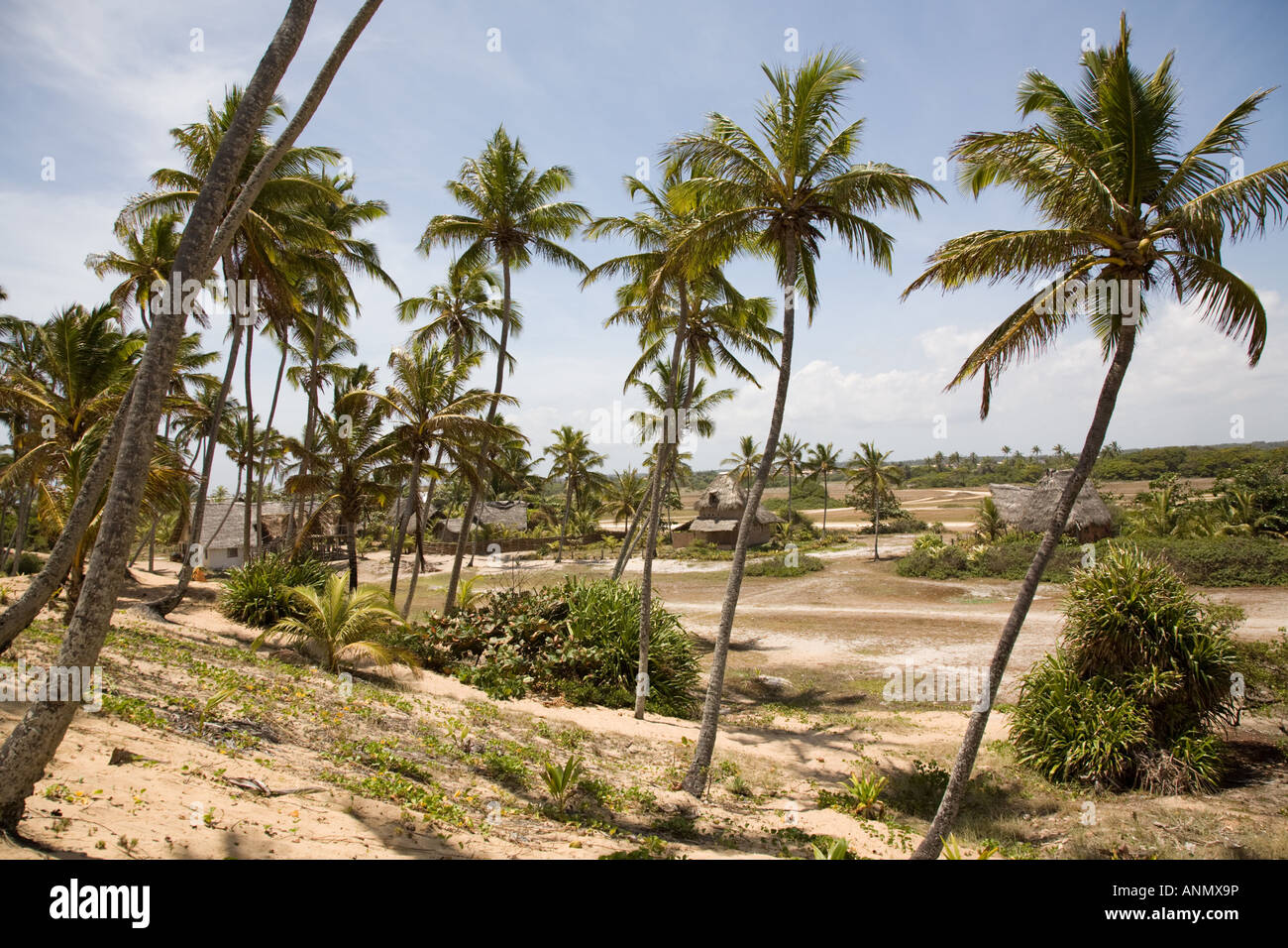 Aldeia Hippie Village, Arembepe, Salvador Bahia, Brazil Stock Photo - Alamy
