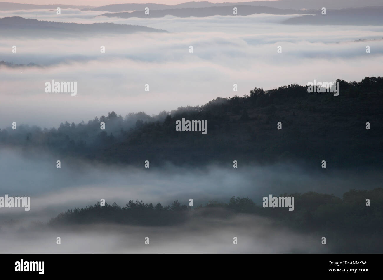 Beautiful valley filled trees hi-res stock photography and images - Alamy