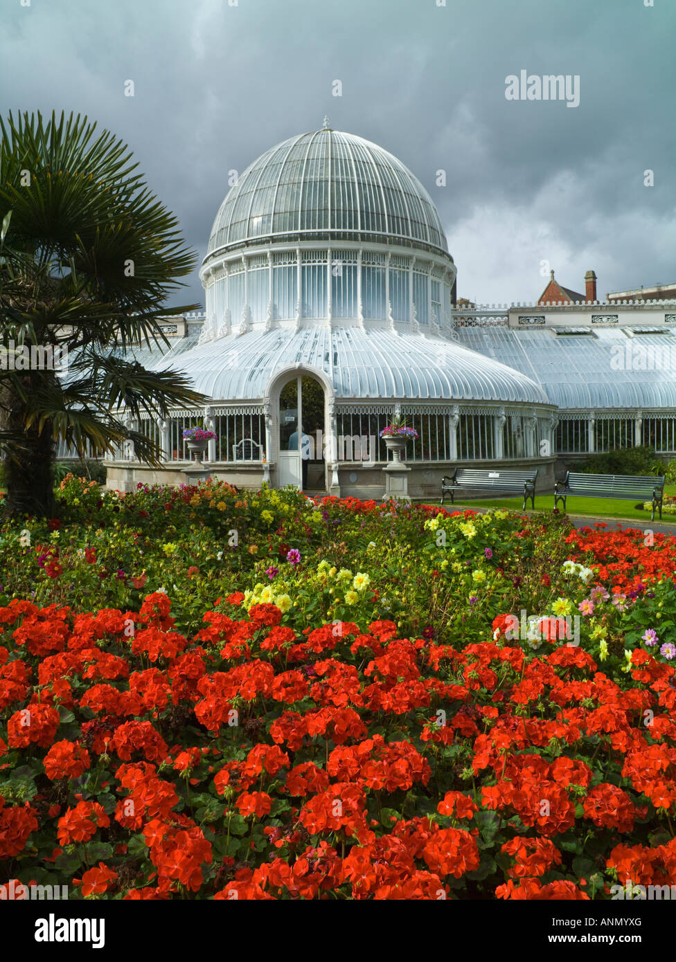Palm House, Botanic Gardens, Belfast, Northern Ireland Stock Photo - Alamy