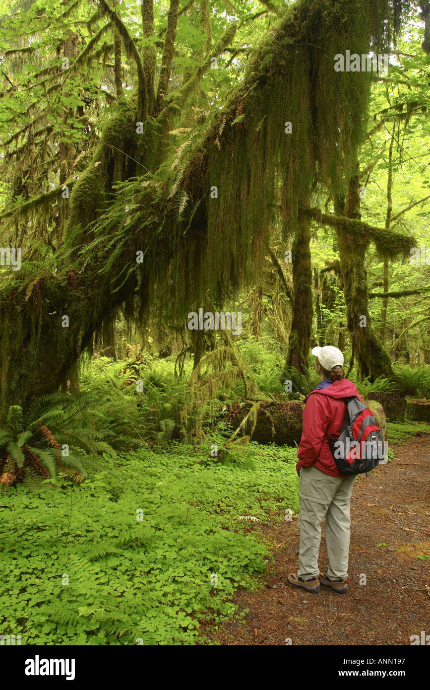Woman hiking through rain forest on Maple Glade Rain Forest Trail ...
