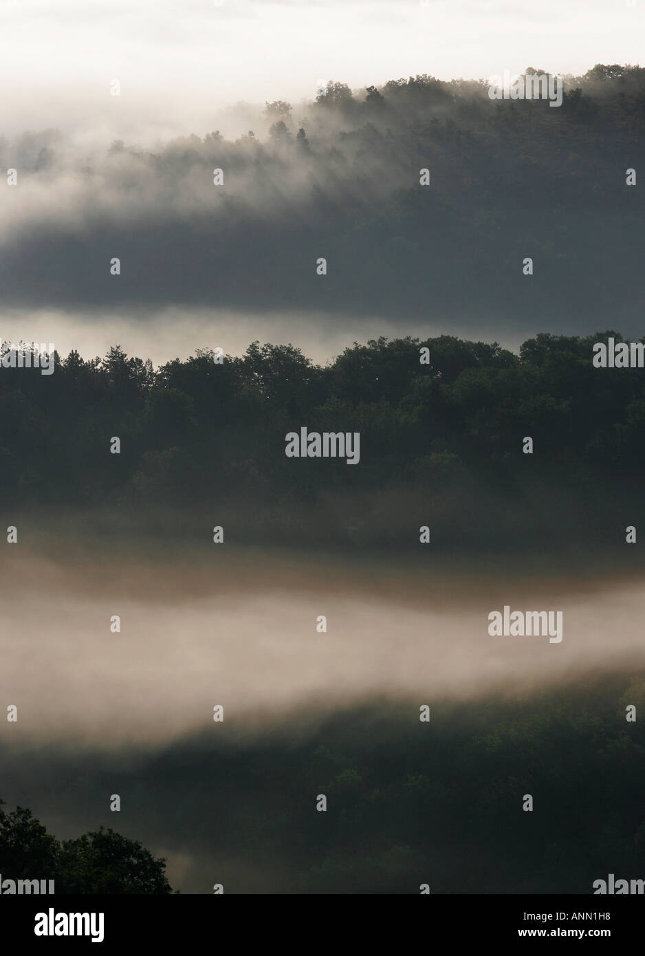Grey landscape of wooded hills and valleys with mist and clouds in the ...