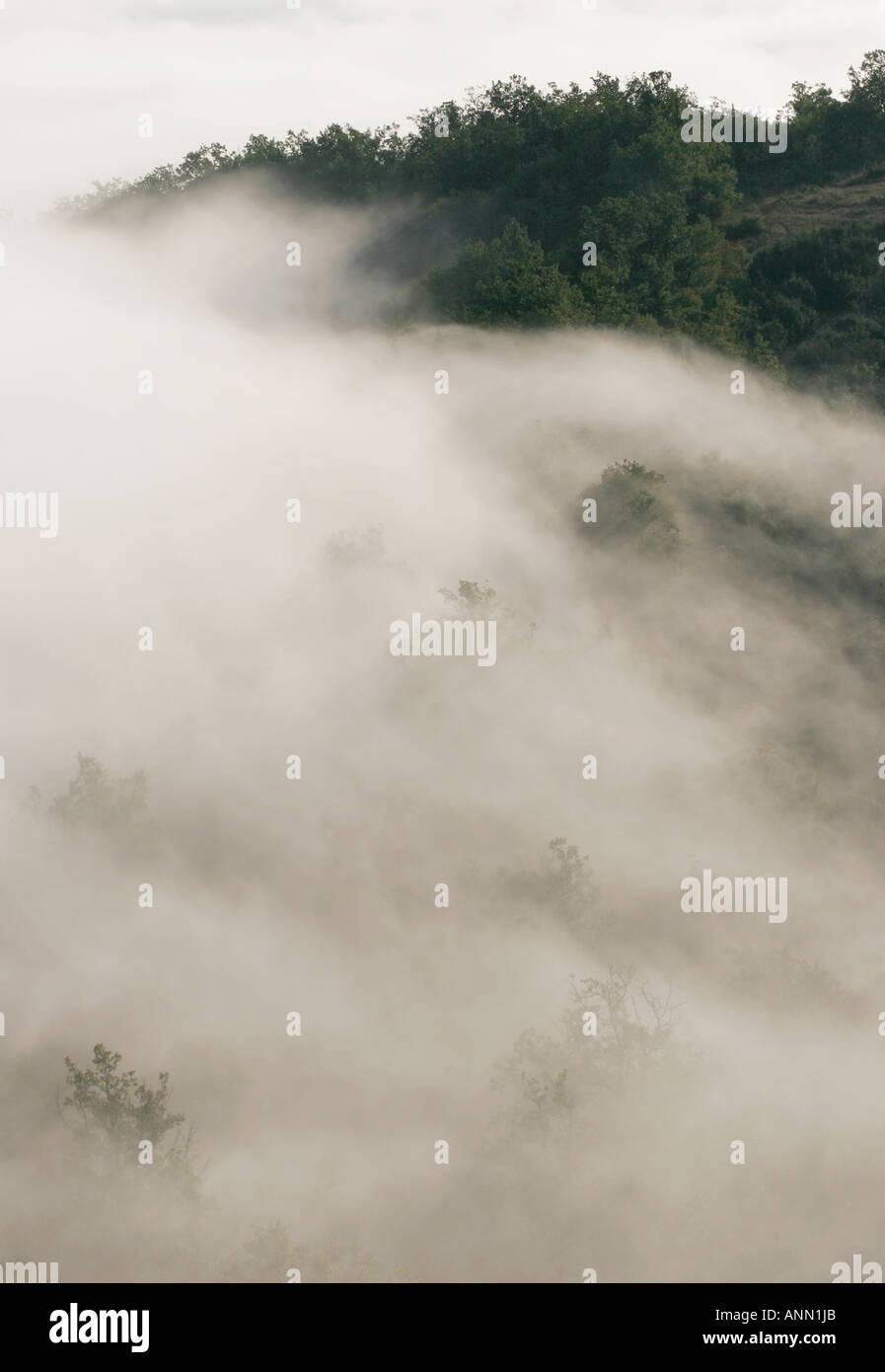 Draw a veil hi-res stock photography and images - Alamy