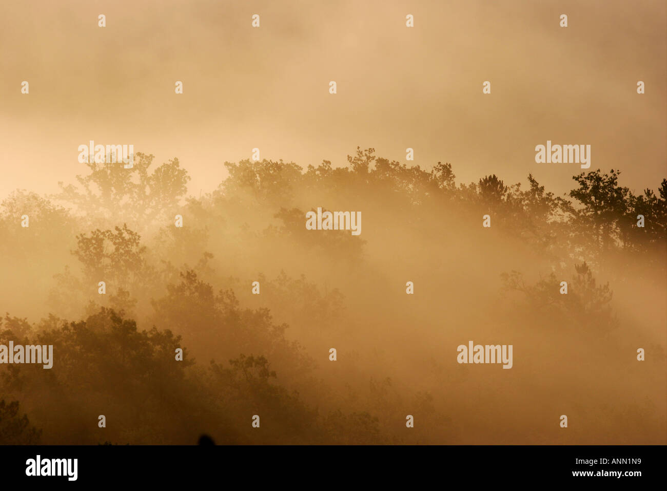 Environmental lapse rate hi-res stock photography and images - Alamy
