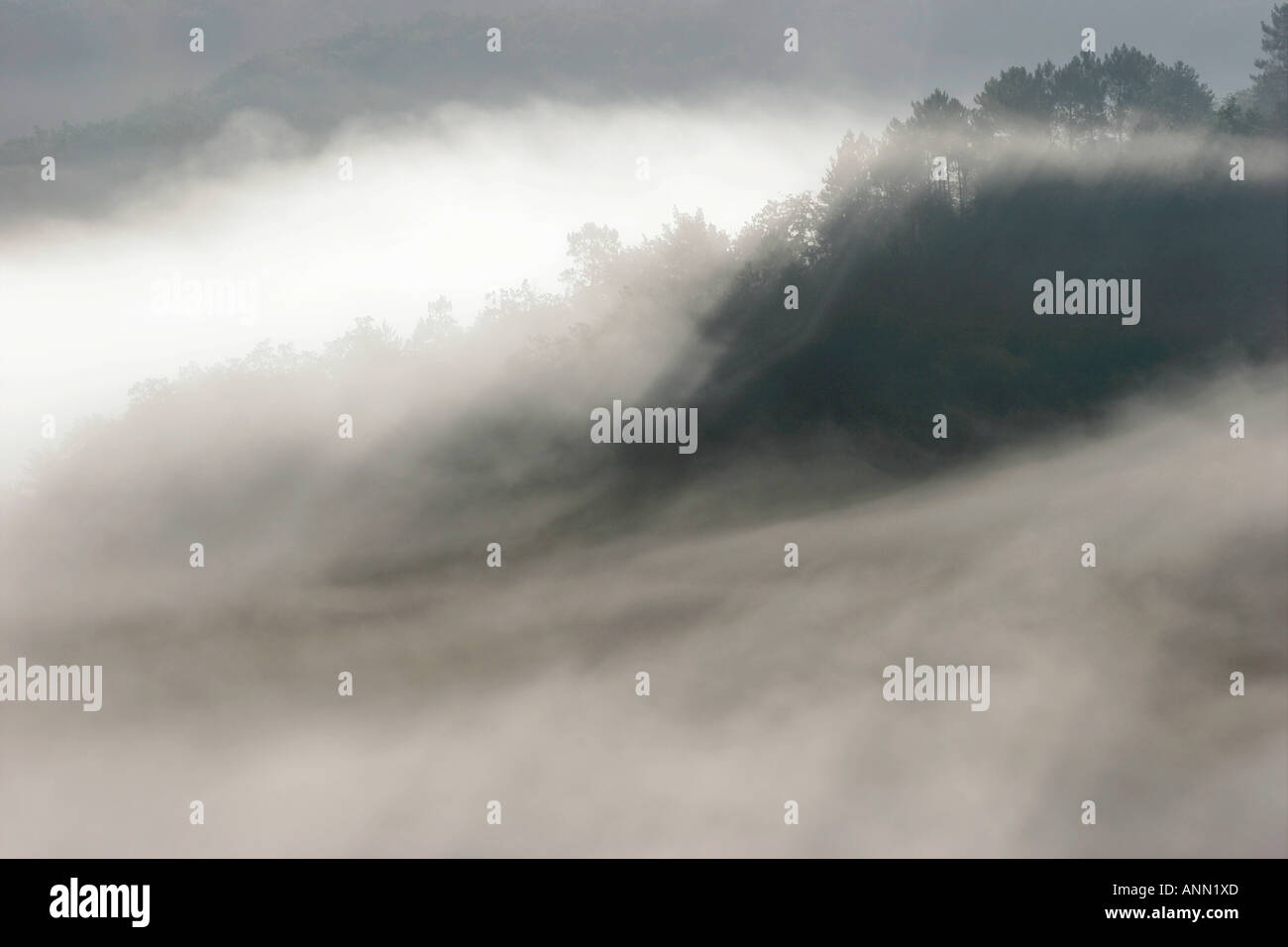 Landscape scenic early morning light on mist and hilltop trees Stock ...