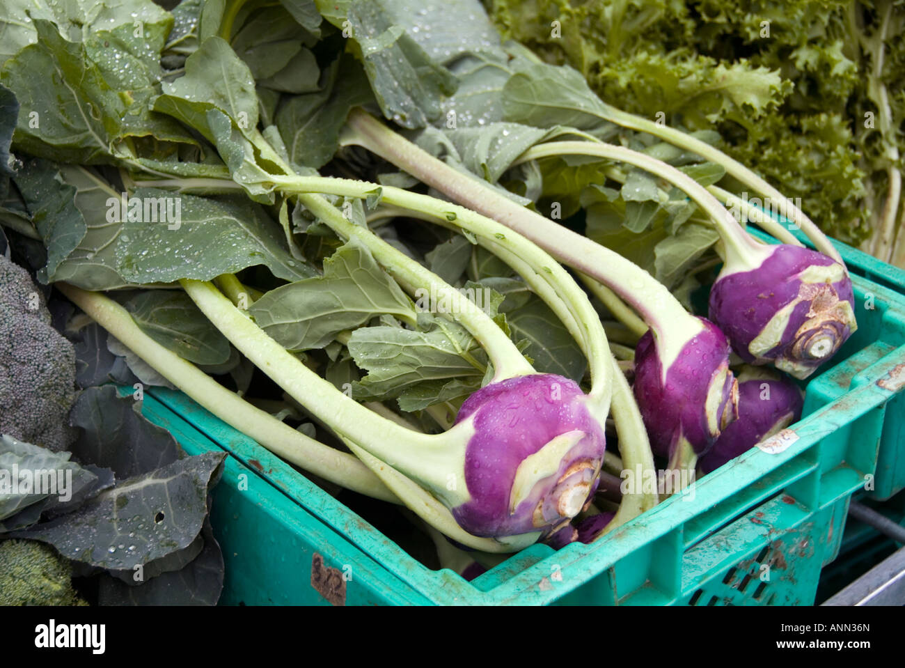 turnip greens root vegetable market stall fresh Stock Photo - Alamy