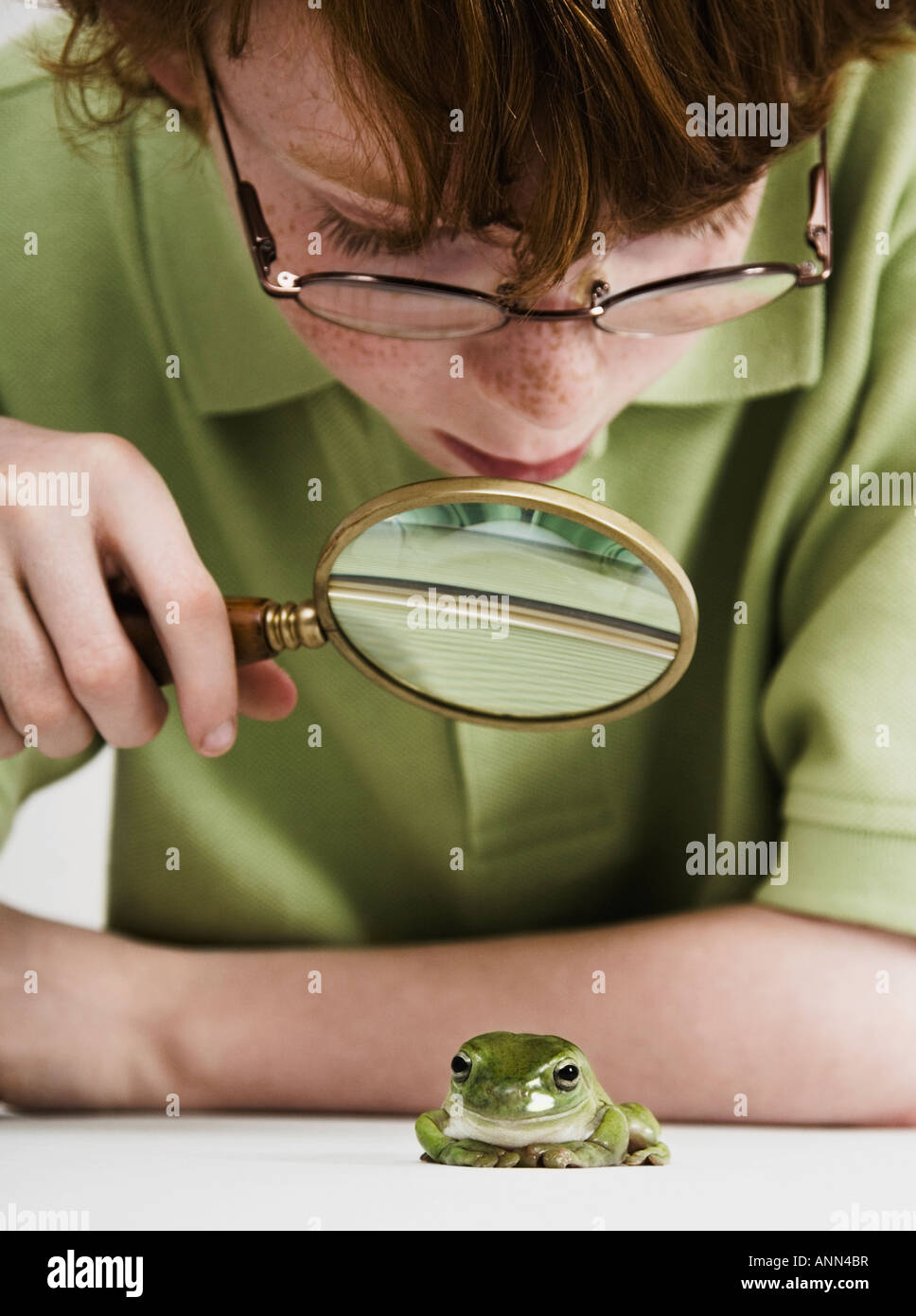 Boy examining frog with magnifying glass Stock Photo - Alamy