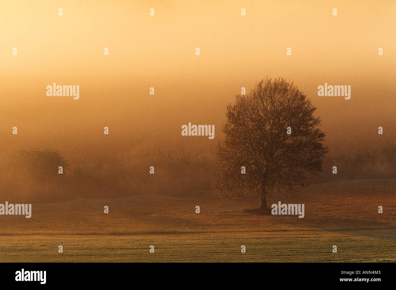 The gloaming hi-res stock photography and images - Alamy