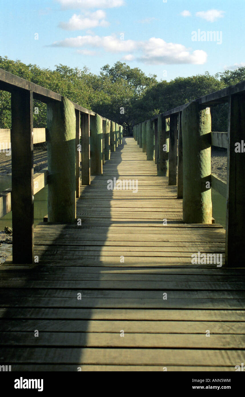 Elevated pathway over river hi-res stock photography and images - Alamy