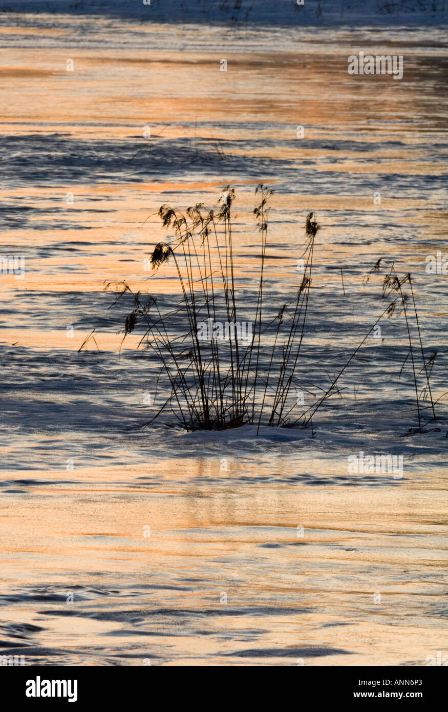 Ice clumps hi-res stock photography and images - Alamy