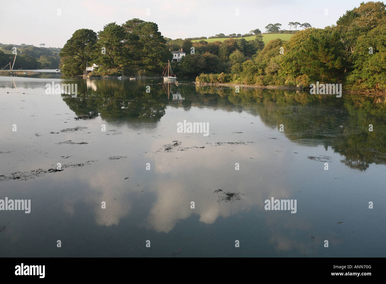 The view of the Percuil River from St Just in Roseland church Roseland ...