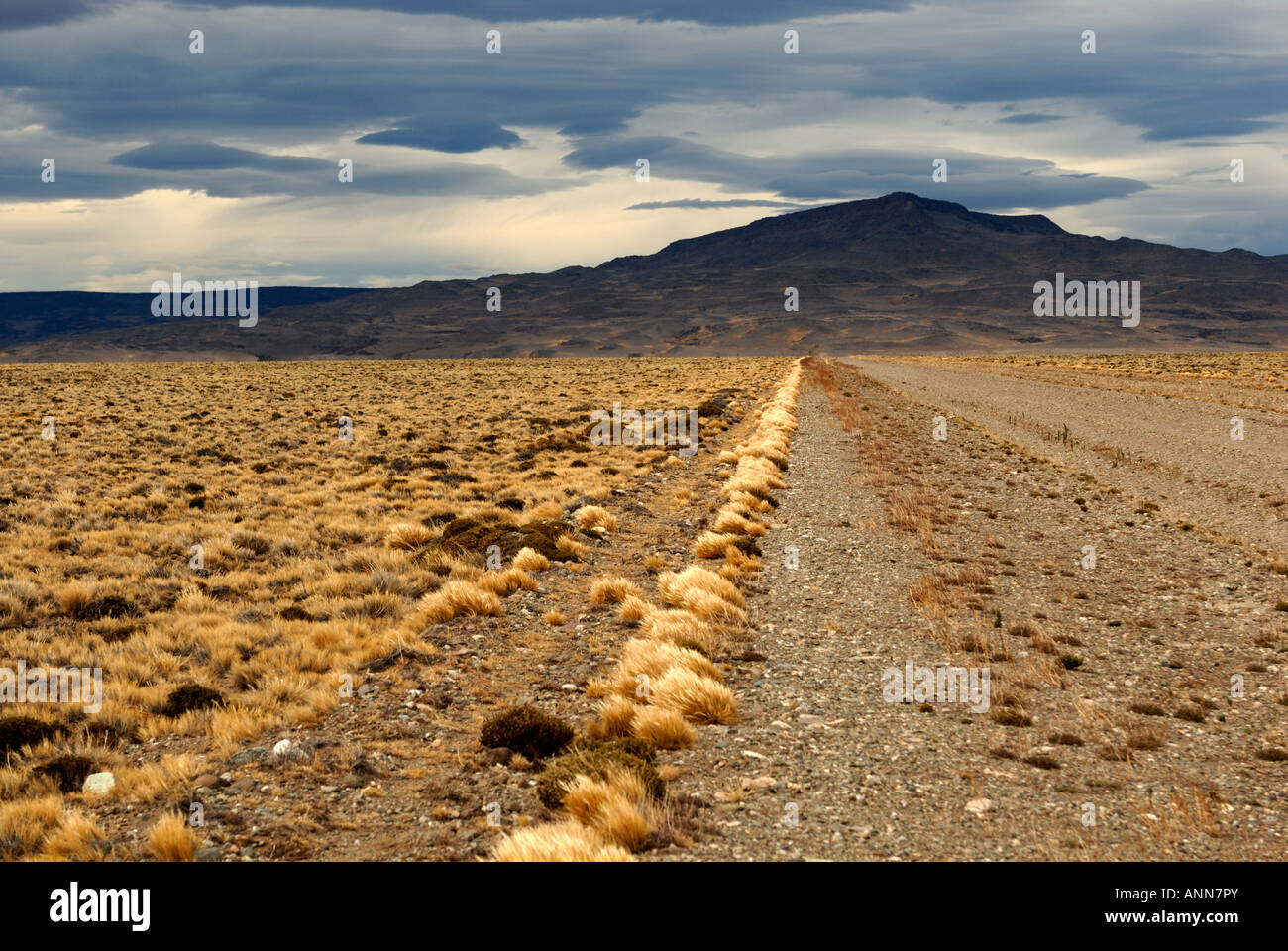 Desert desertification steppe patagonia hi-res stock photography and ...