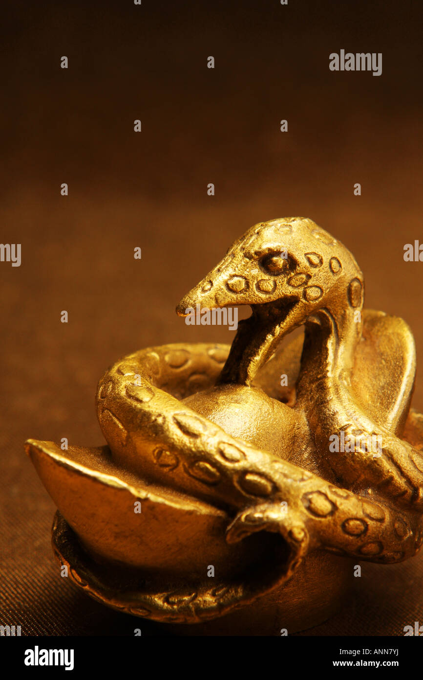 1917 year of the chinese zodiac 60 photos - Astrologytoyou.com