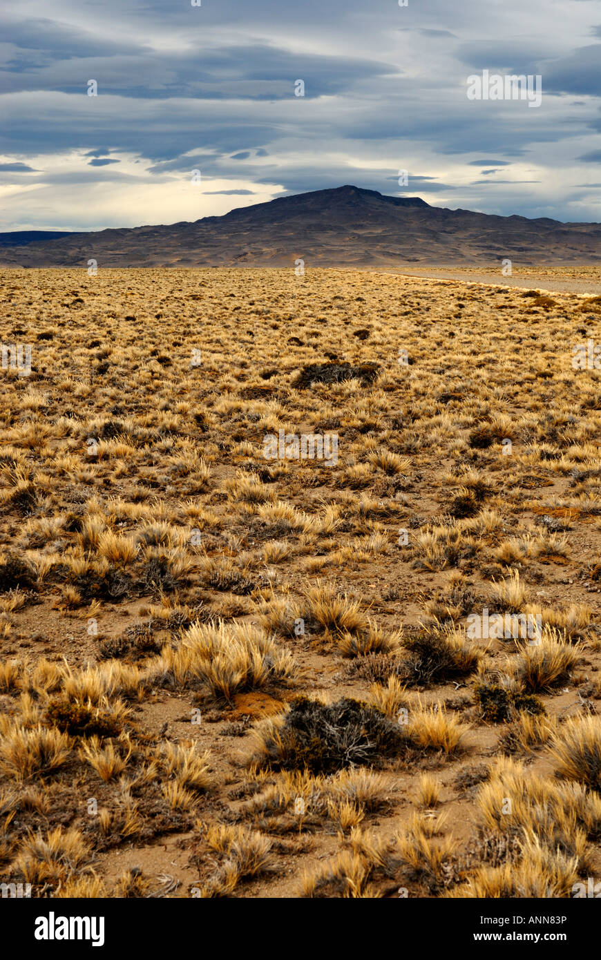 Route 40 in Patagonia, Province of Santa Cruz, Argentina, South America ...
